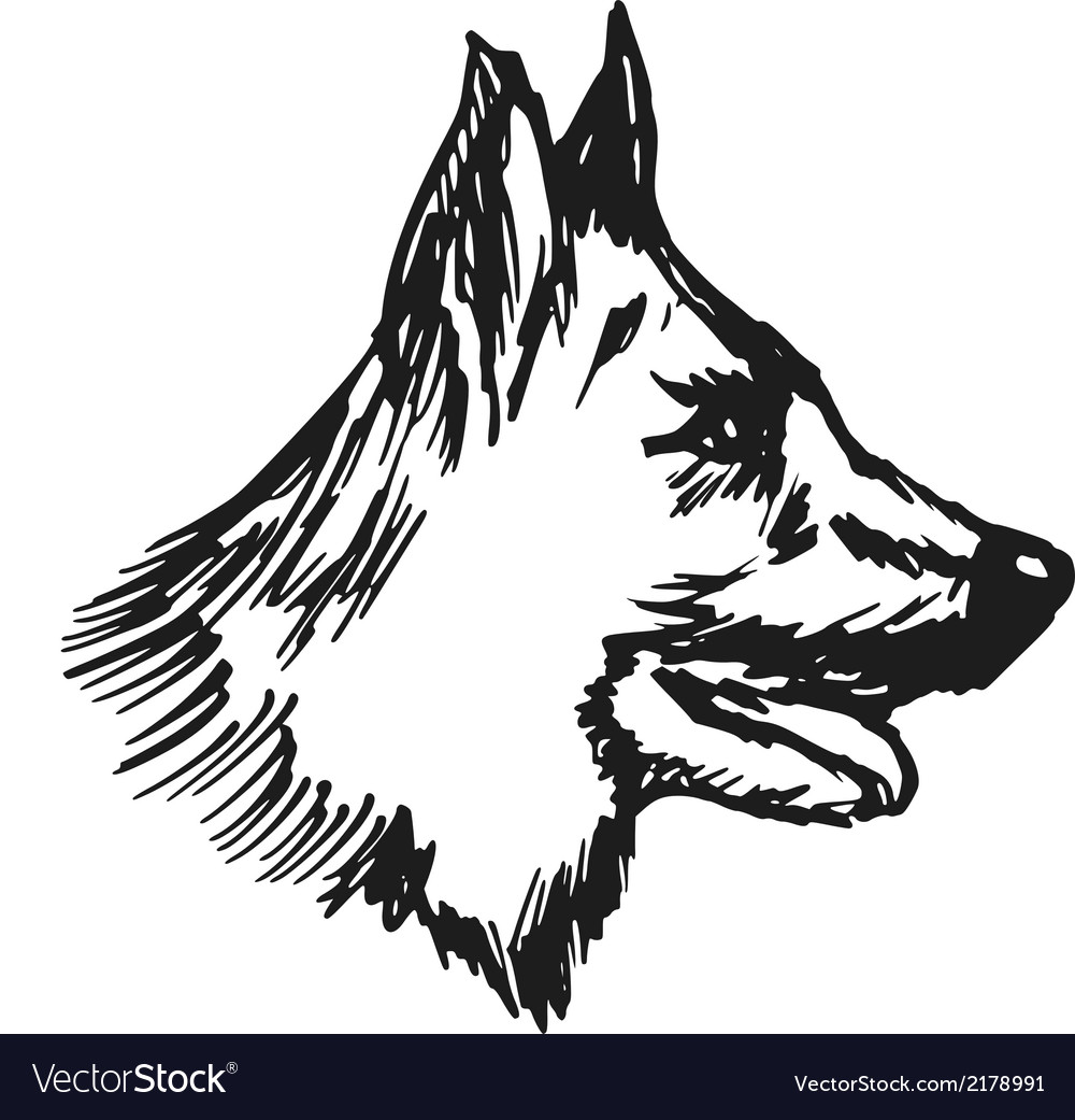 German shepherd Royalty Free Vector Image - VectorStock