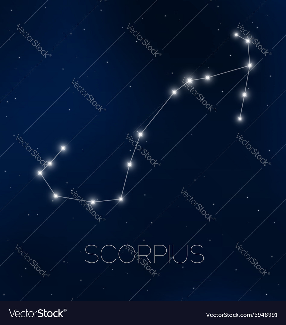 Scorpius constellation Royalty Free Vector Image