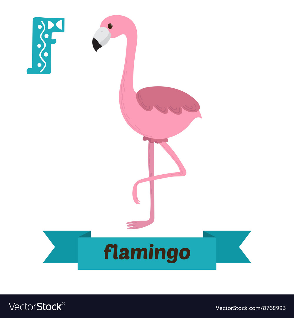Flamingo f letter cute children animal alphabet Vector Image