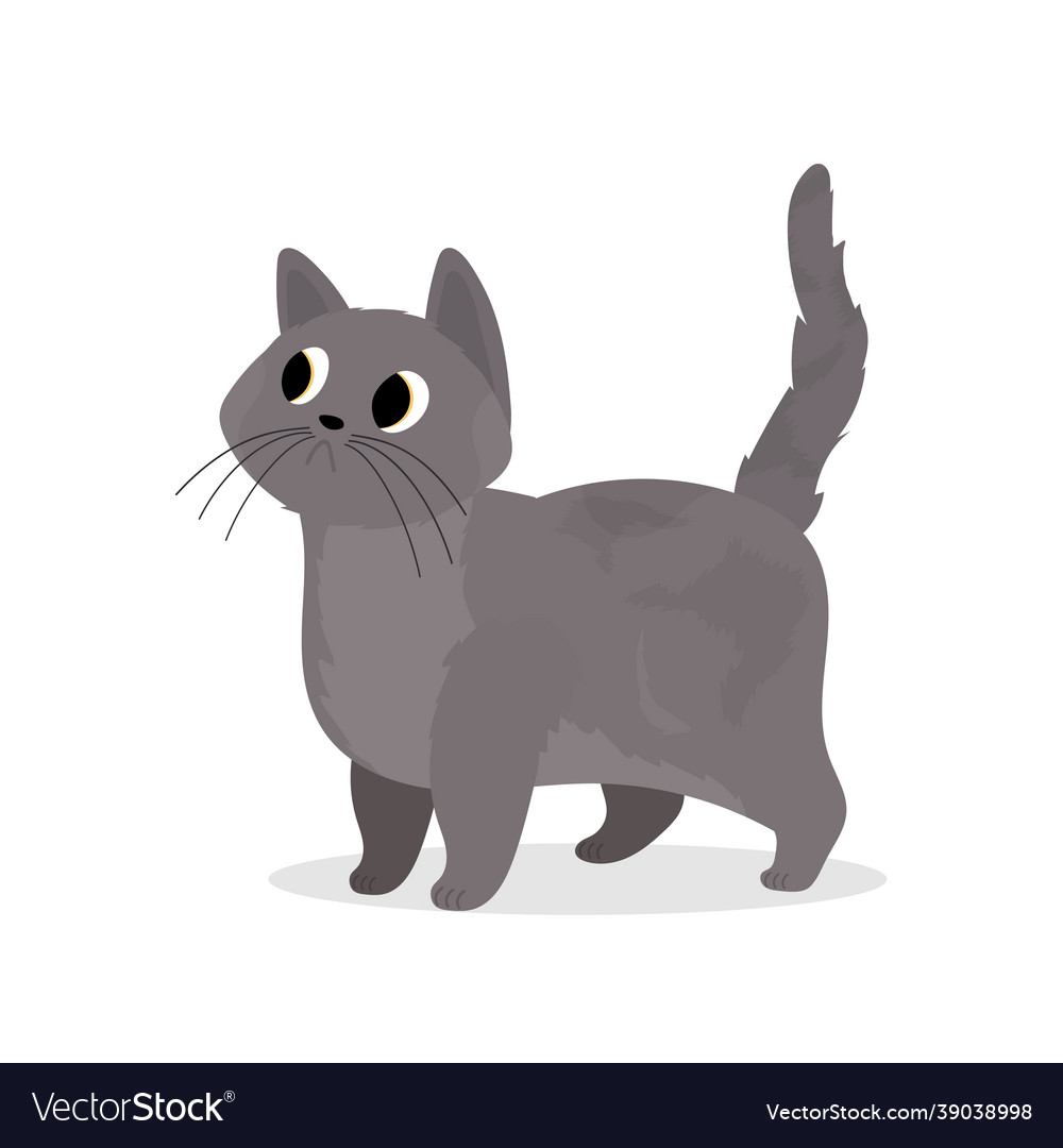 Cute gray cat suitable for stickers and postcards Vector Image