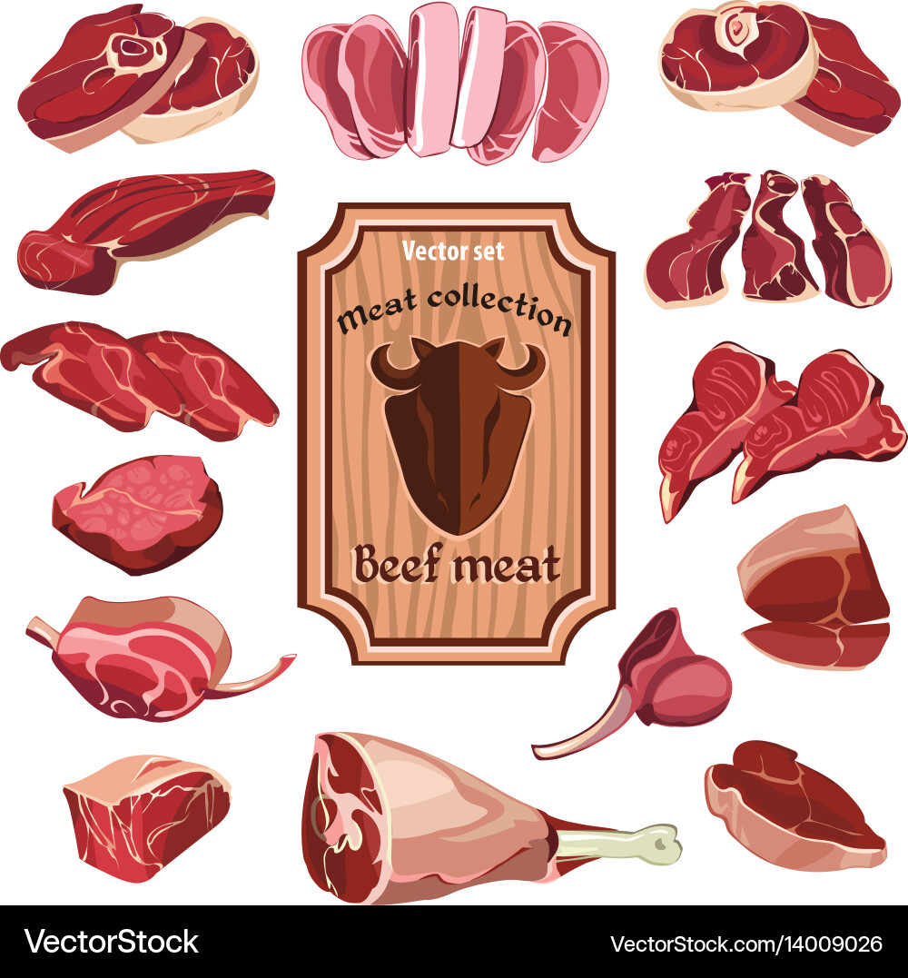 Hand drawn meat elements set Royalty Free Vector Image