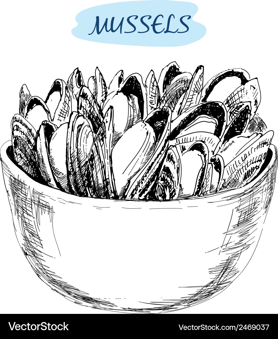 Mussels Royalty Free Vector Image - VectorStock