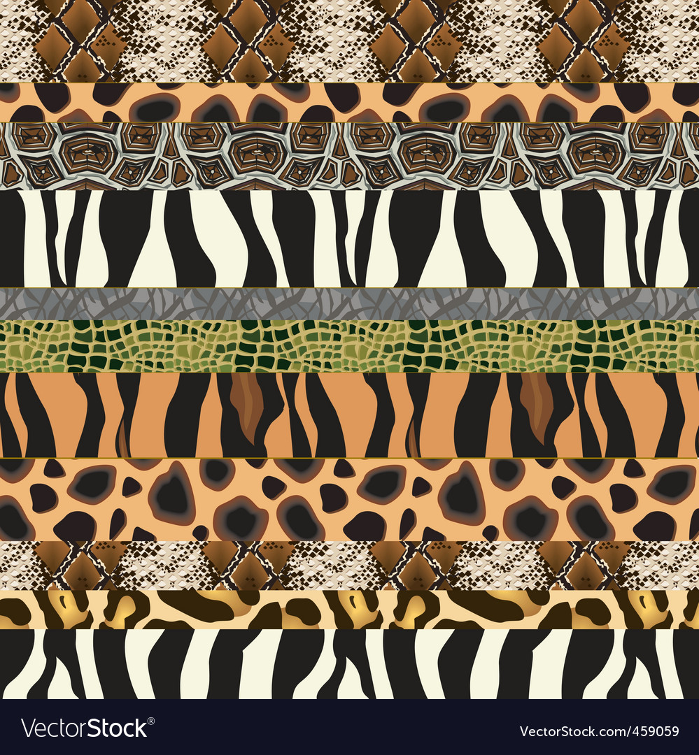 Safari pattern background Royalty Free Vector Image