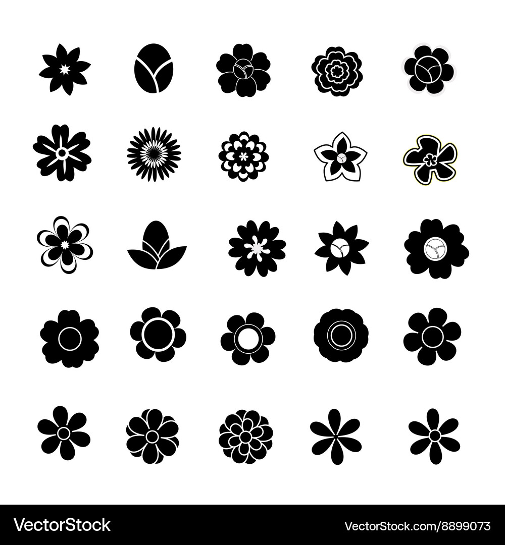 Floral on white background Royalty Free Vector Image