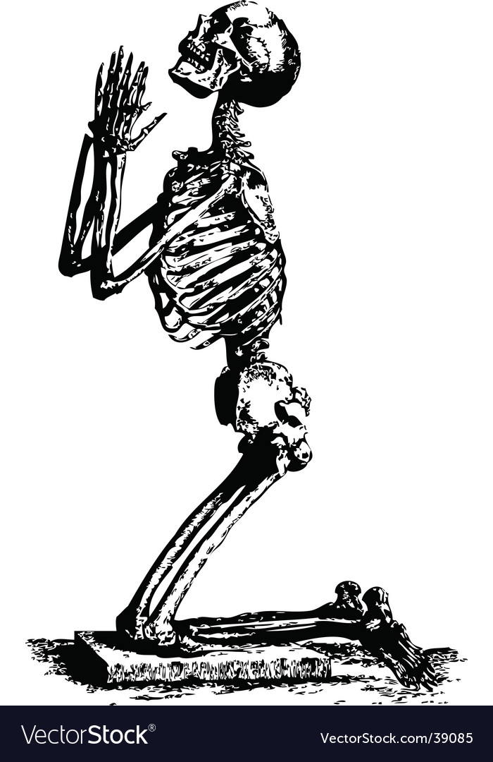 Skeleton Royalty Free Vector Image - VectorStock