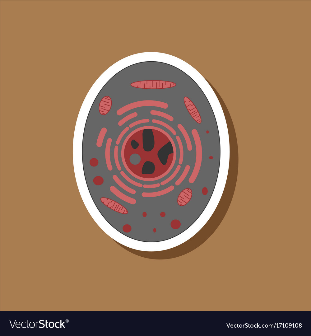 Paper Sticker On Stylish Background Cell Vector Image
