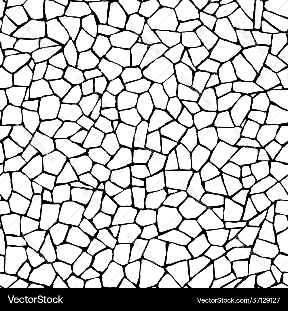 Seamless wall from polygon stones different Vector Image