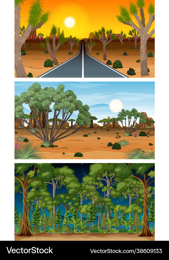 Set different forest horizontal scenes Royalty Free Vector