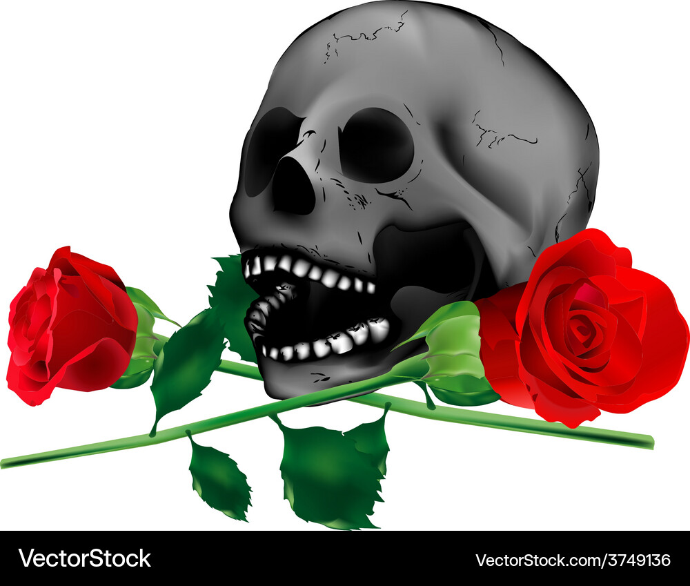 Skull and roses Royalty Free Vector Image - VectorStock
