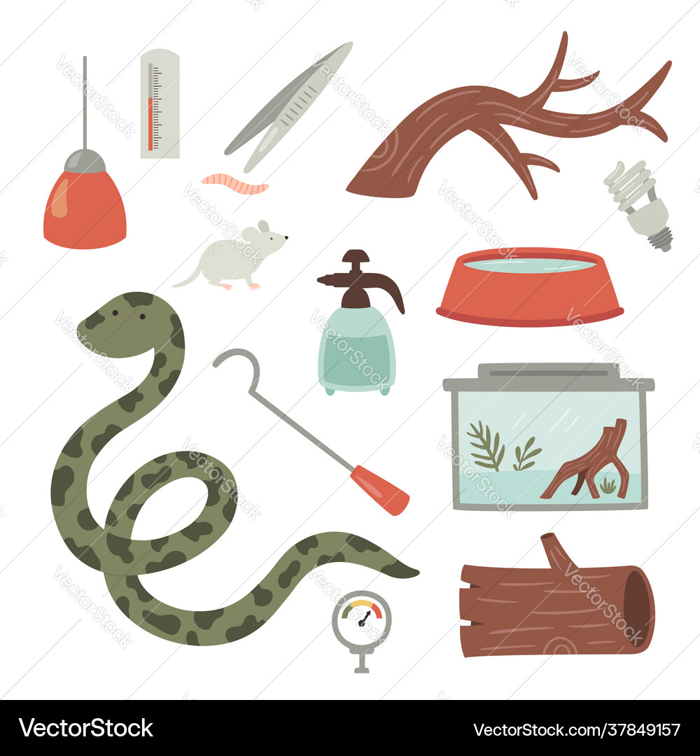 Set a snake care items Royalty Free Vector Image