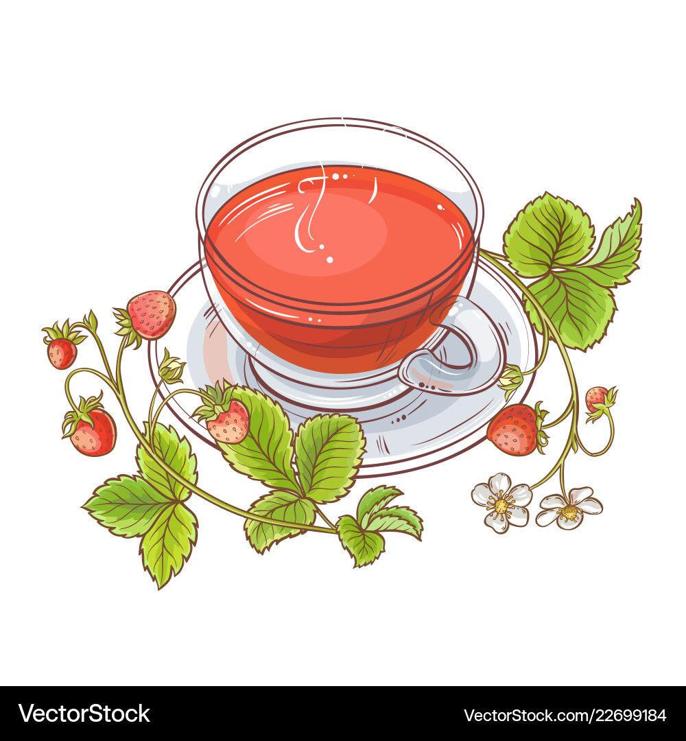 Strawberry tea Royalty Free Vector Image - VectorStock