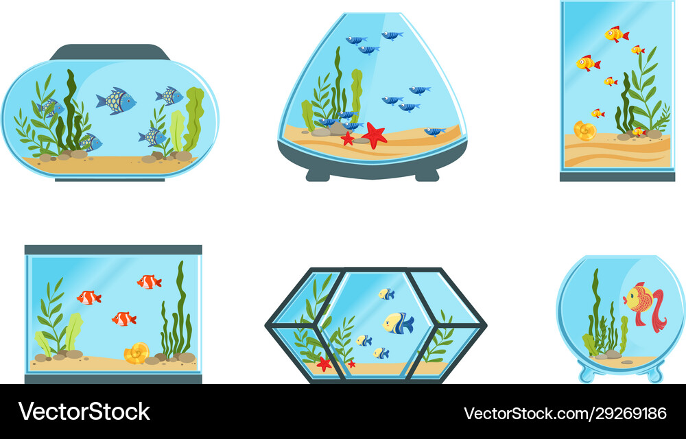 Collection aquarium tanks different shapes Vector Image