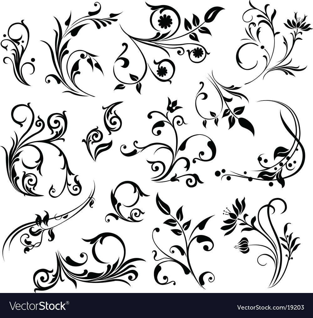 Floral design elements Royalty Free Vector Image