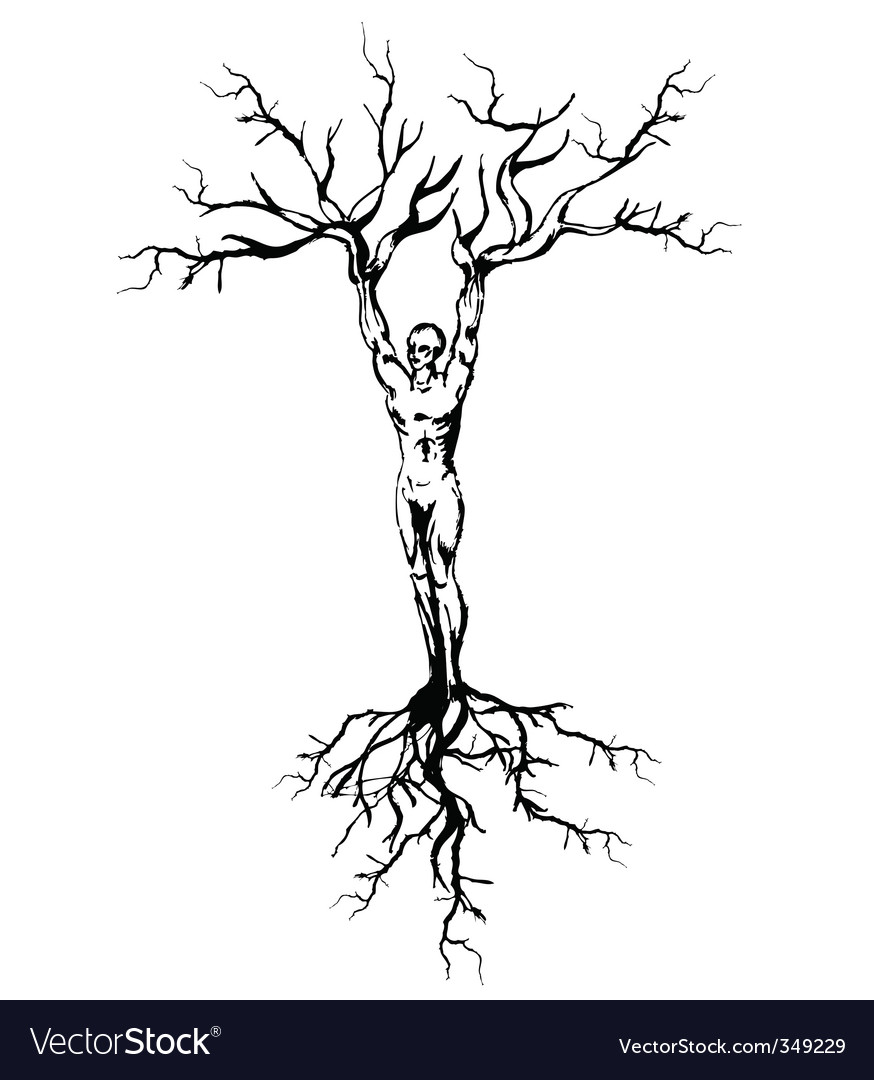 Tree roots Royalty Free Vector Image - VectorStock