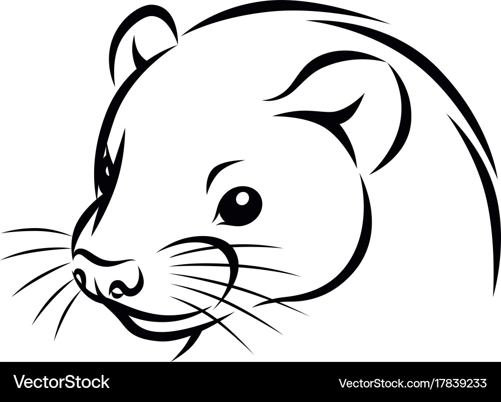 Line ink ferret head simple Royalty Free Vector Image
