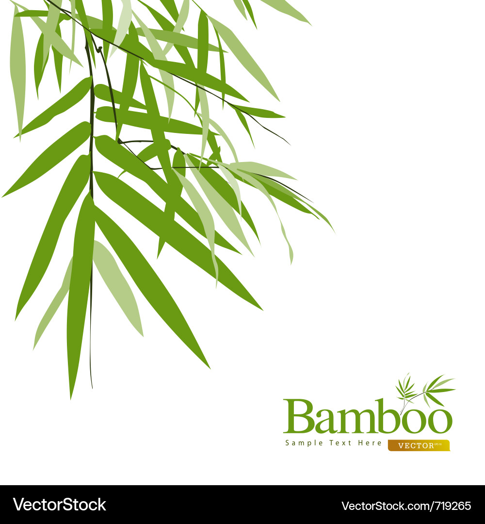 Bamboo greeting card Royalty Free Vector Image