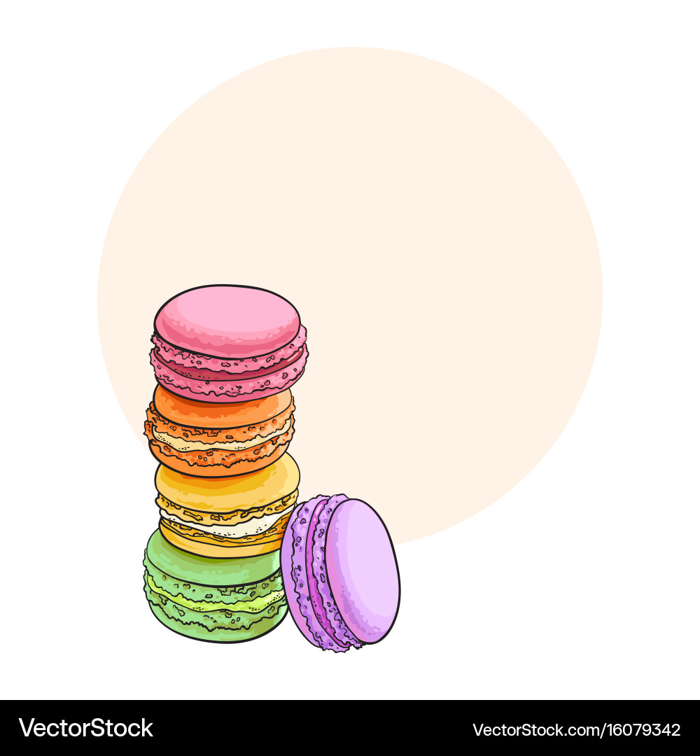 Hand drawn stack of colorful macaron macaroon Vector Image