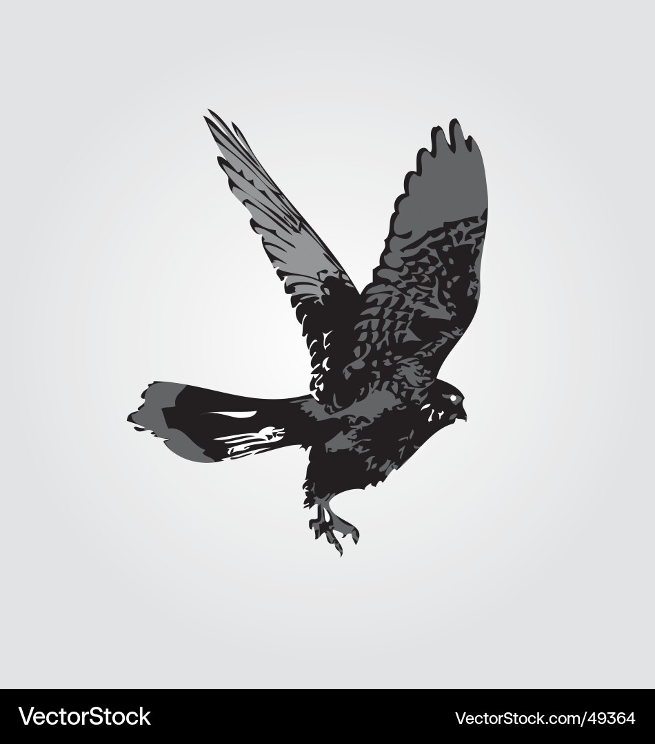 Hawk silhouette Royalty Free Vector Image - VectorStock
