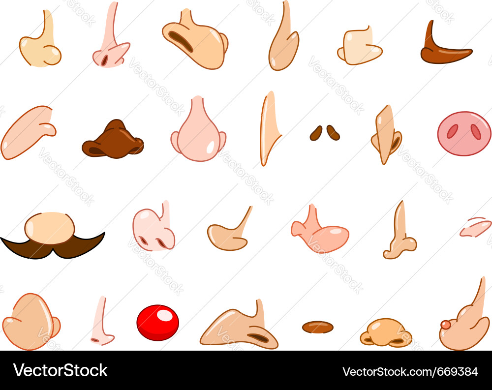 Cartoon noses Royalty Free Vector Image - VectorStock