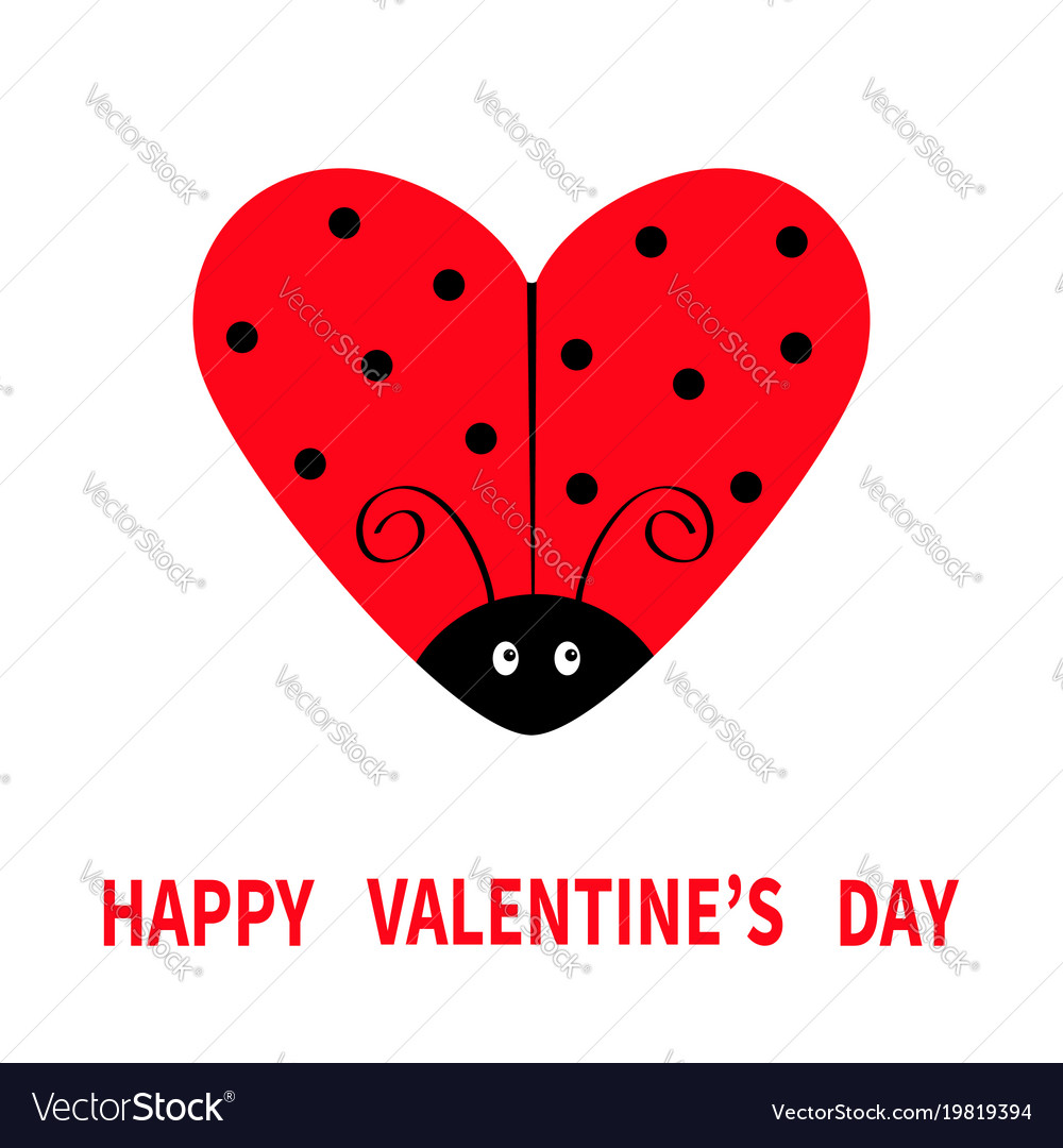 Happy valentines day red flying lady bug insect Vector Image