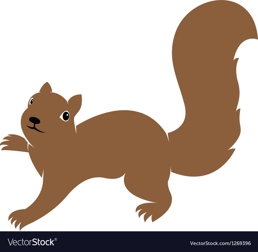 Squirrel Royalty Free Vector Image - VectorStock