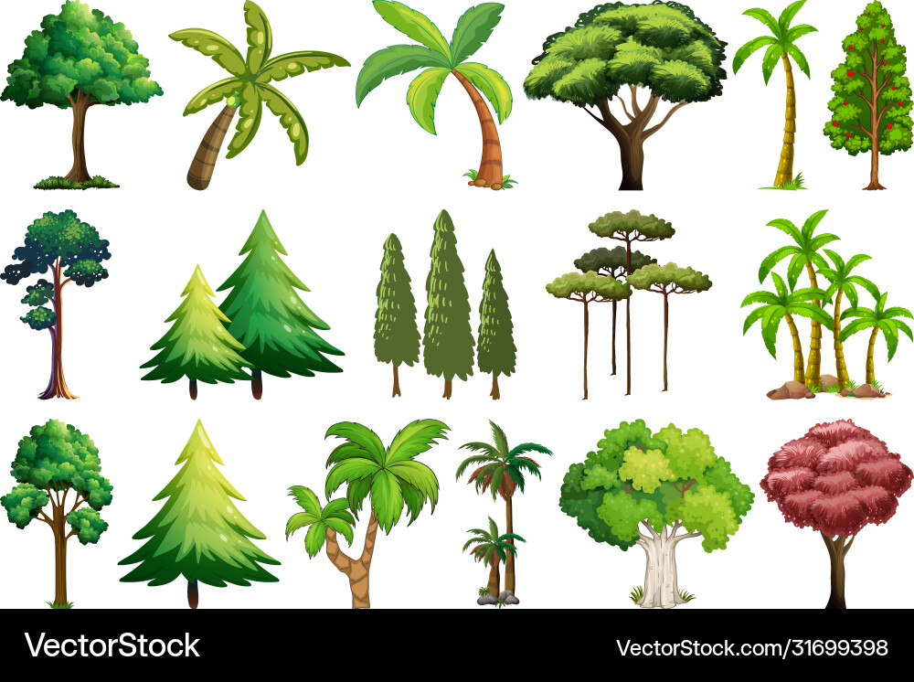 Set variety plants and trees Royalty Free Vector Image