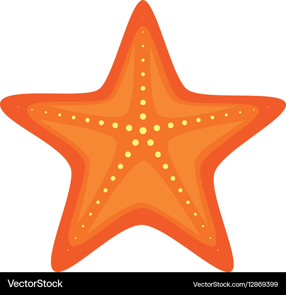 Star fish isolated icon Royalty Free Vector Image
