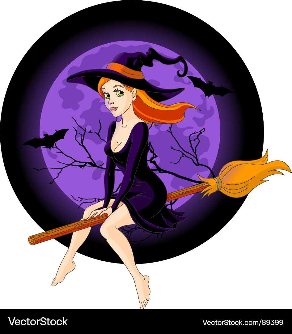 Witch riding a broom Royalty Free Vector Image
