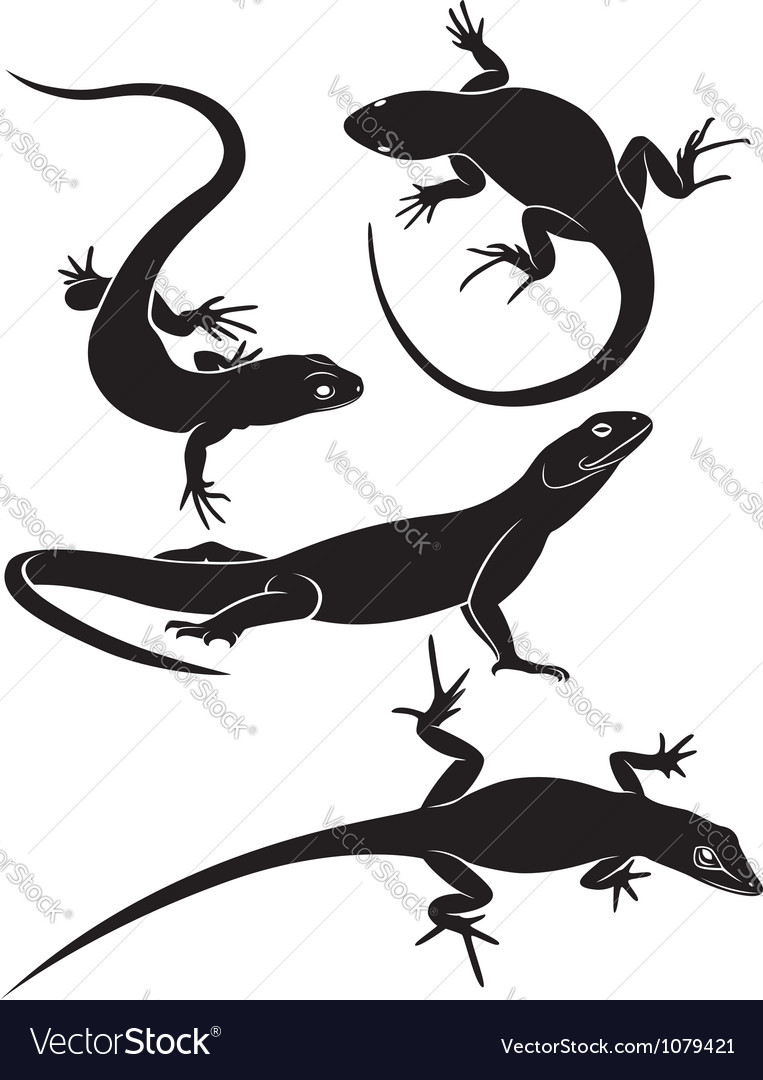 Lizard Royalty Free Vector Image - VectorStock