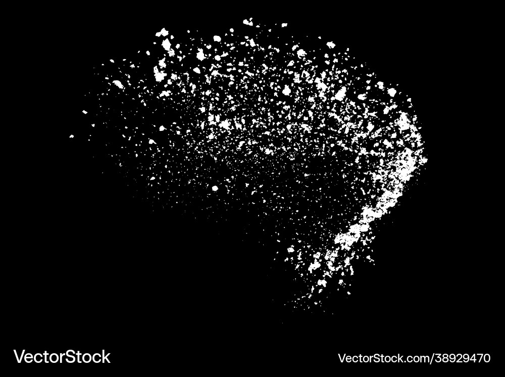 White splashes isolated on black background Vector Image