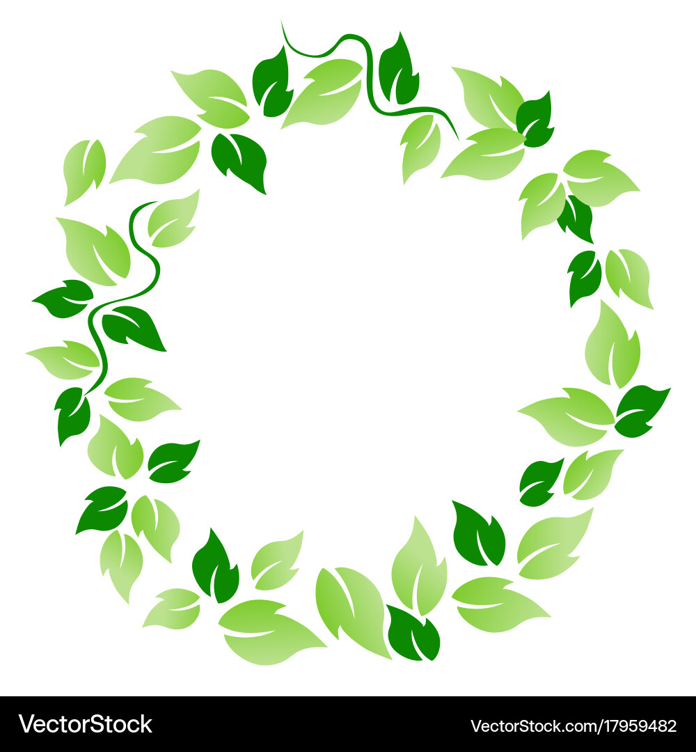 Green leaf circle Royalty Free Vector Image - VectorStock