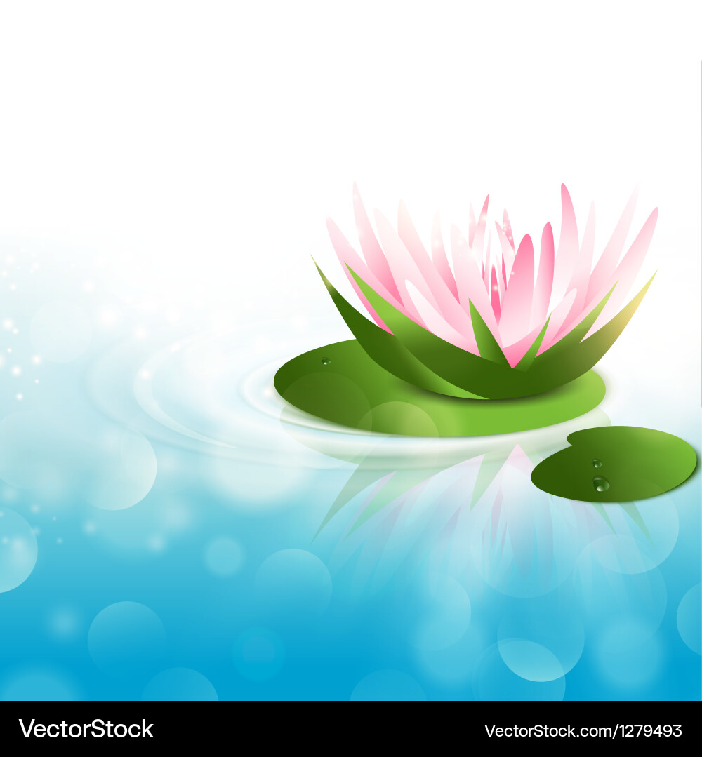 Water Lily Royalty Free Vector Image - VectorStock