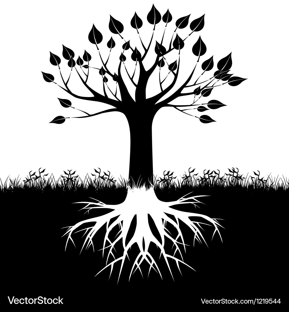 Tree roots silhouette Royalty Free Vector Image