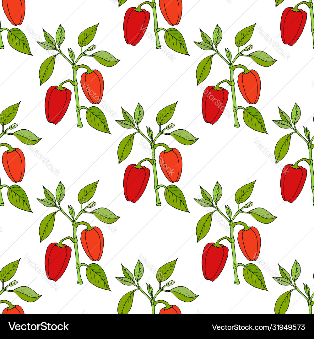 Paprika red pepper spice seamless pattern Vector Image