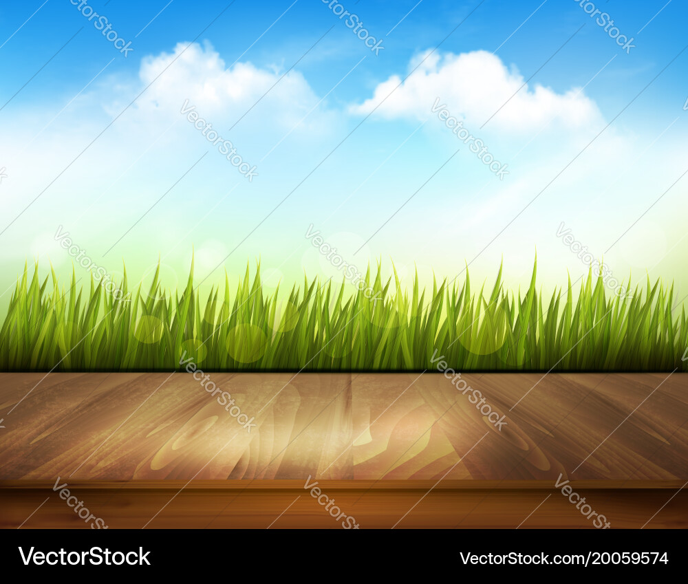 Wooden deck in front green grass and blue sky Vector Image