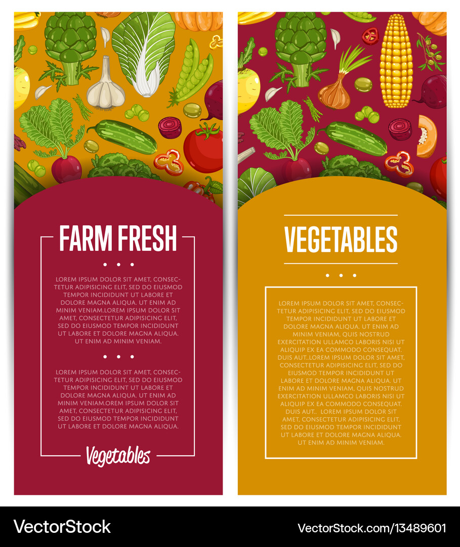 Fresh vegetable farming flyers set Royalty Free Vector Image - VectorStock