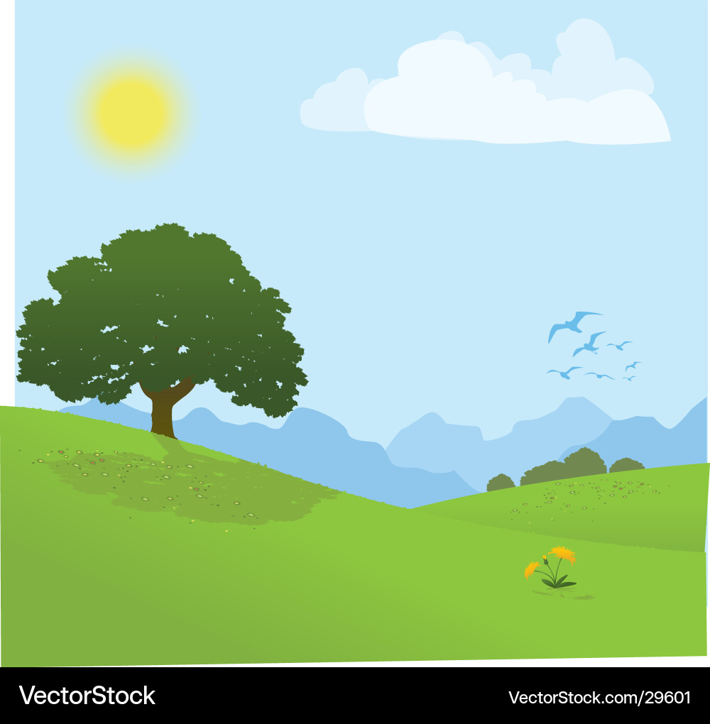 Tree on a hill Royalty Free Vector Image - VectorStock