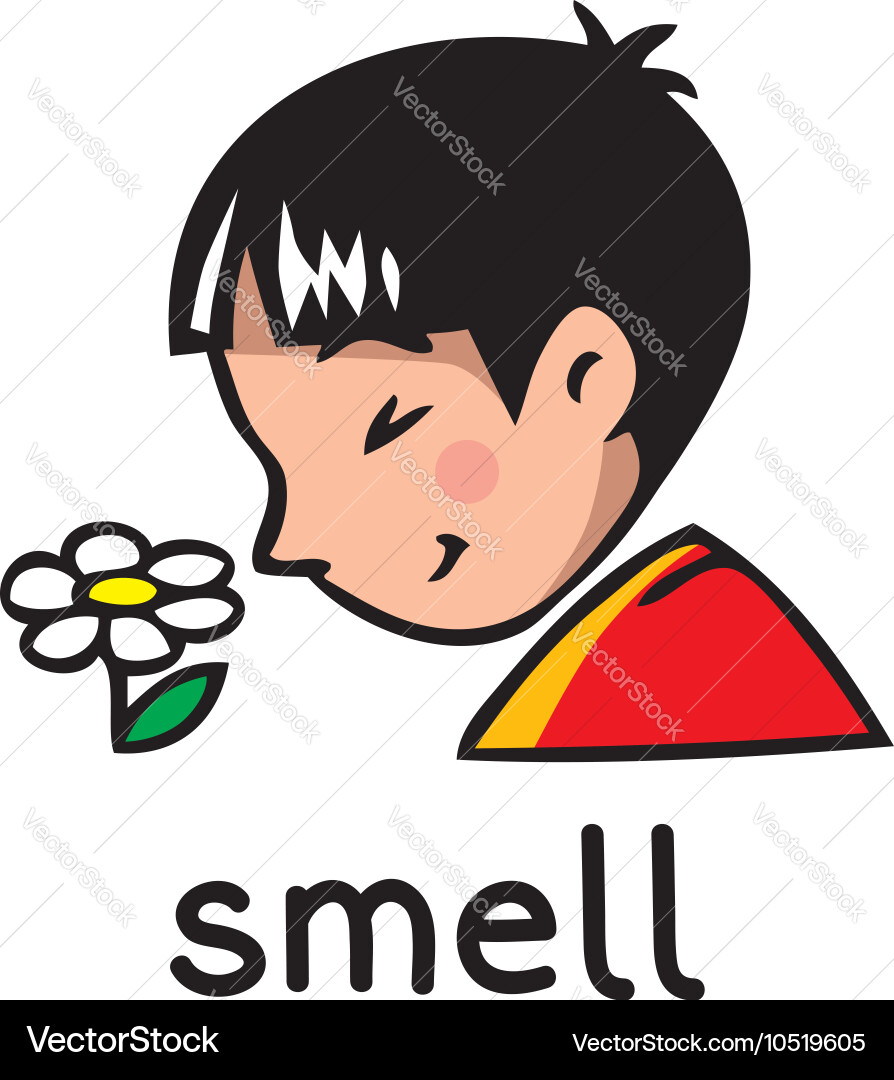 Smell Sense icon Royalty Free Vector Image - VectorStock