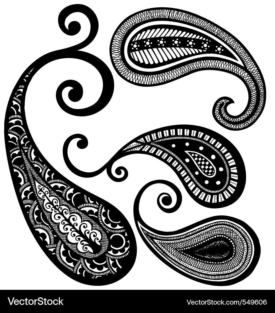 Paisley floral Royalty Free Vector Image - VectorStock