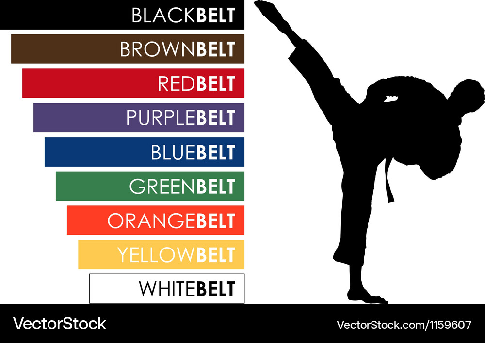 Karate background Royalty Free Vector Image - VectorStock