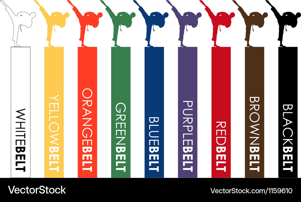 Karate background Royalty Free Vector Image - VectorStock