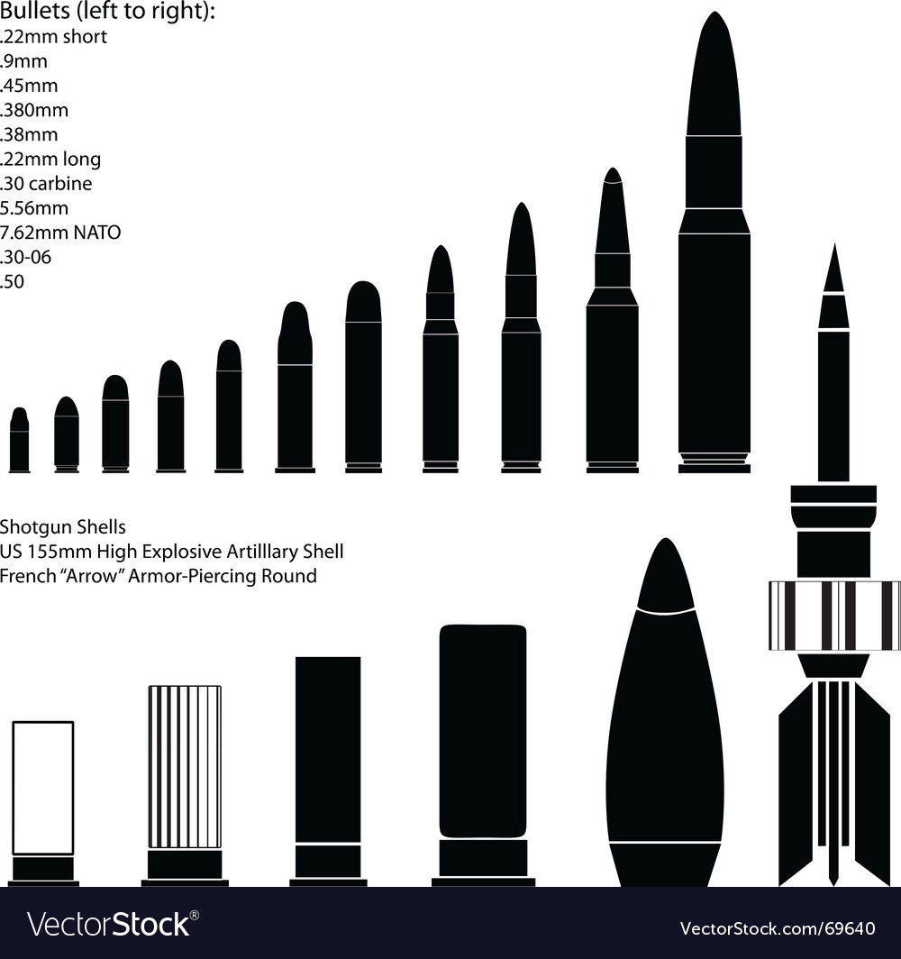 Ammunition Royalty Free Vector Image - VectorStock