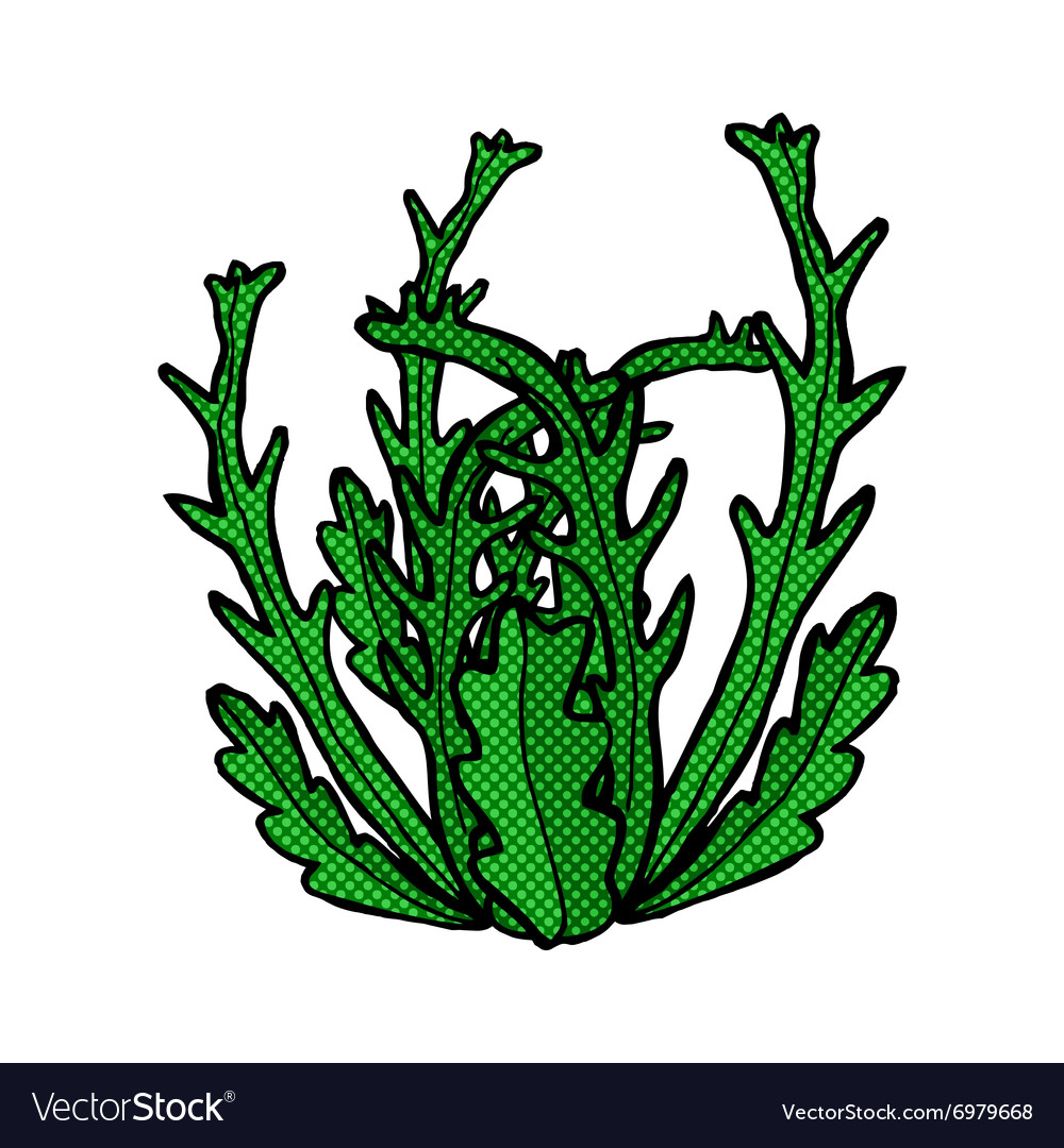 Comic cartoon seaweed Royalty Free Vector Image - VectorStock