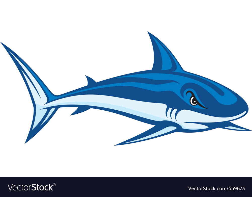 Shark Royalty Free Vector Image - VectorStock