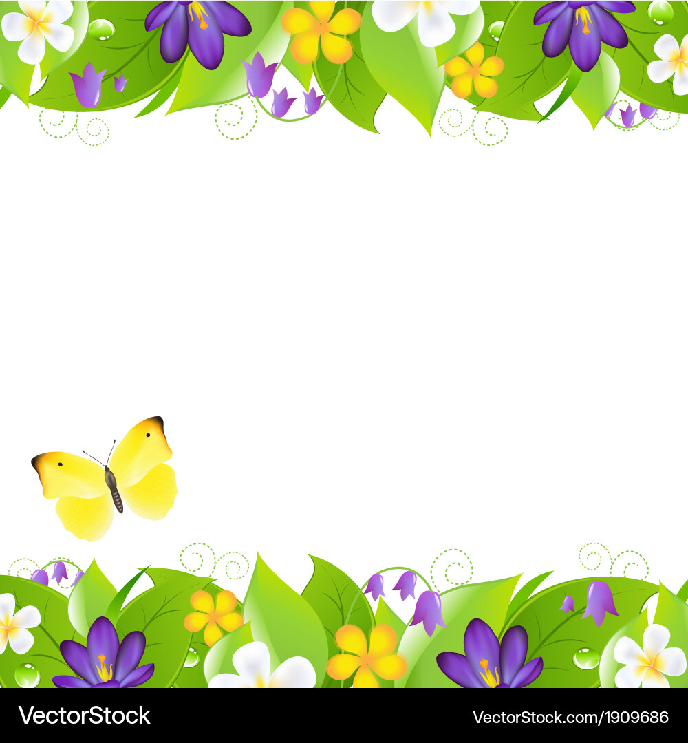 Summer Flowers Borders Royalty Free Vector Image