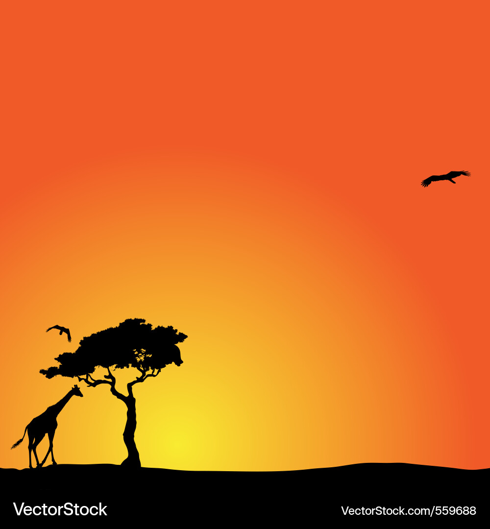 Background with african sunset Royalty Free Vector Image