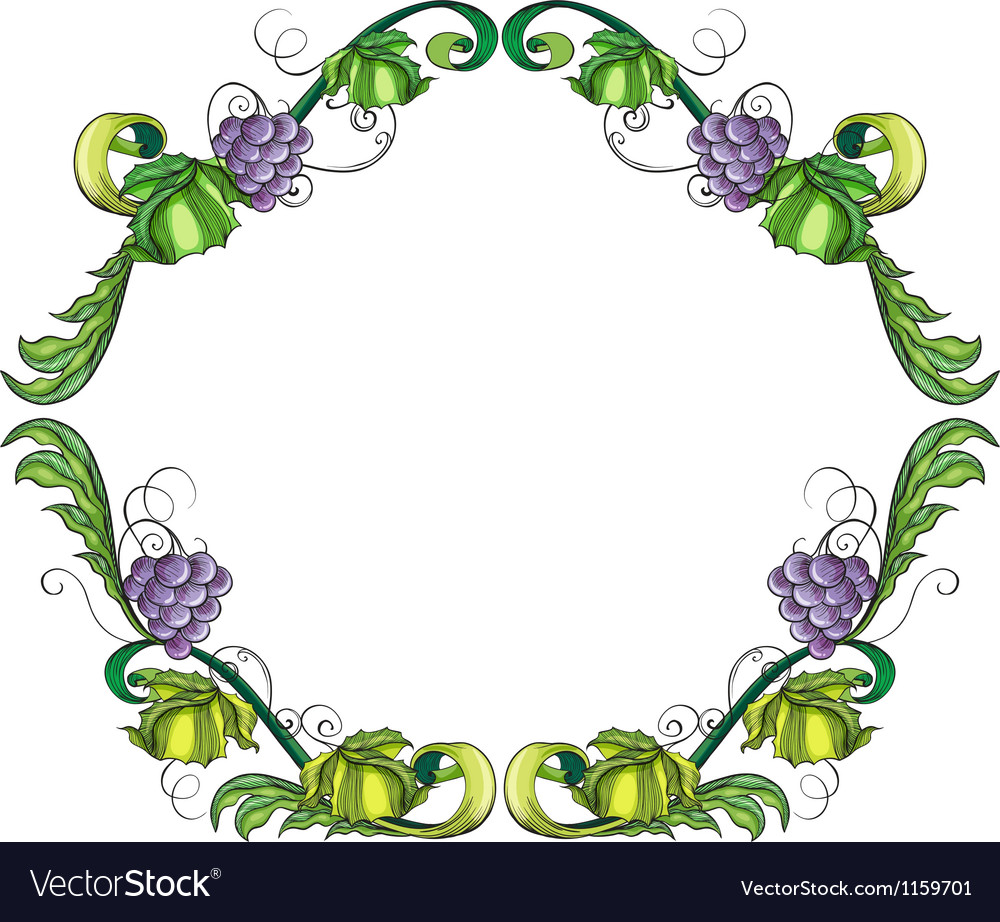 A grape vine border Royalty Free Vector Image - VectorStock A grape vine border Royalty Free Vector Image - VectorStock