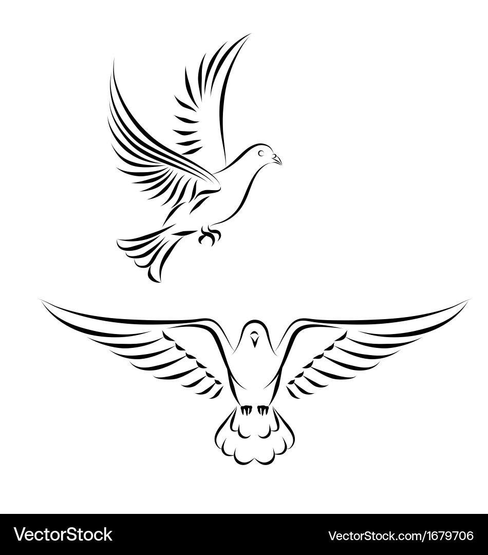 Stylized dove Royalty Free Vector Image - VectorStock