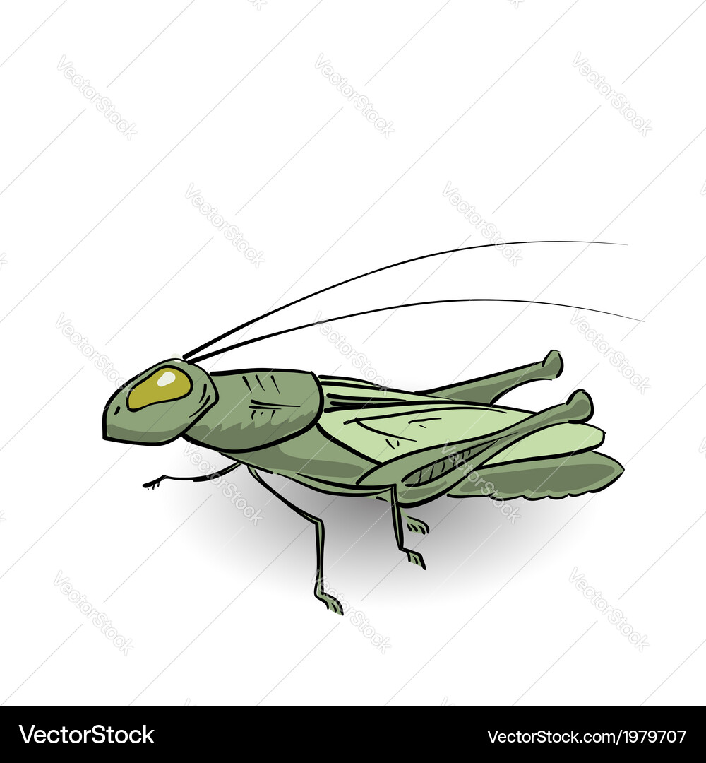 Green grasshopper Royalty Free Vector Image - VectorStock