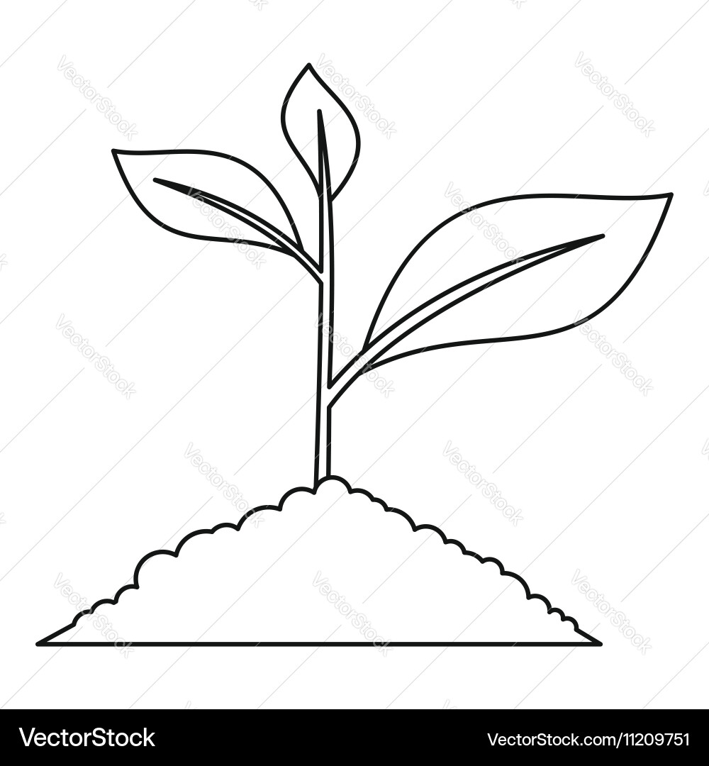 Young plant icon outline style Royalty Free Vector Image